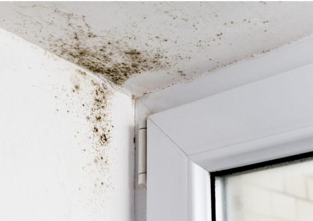 Substrate-related failures – STORM PAINT